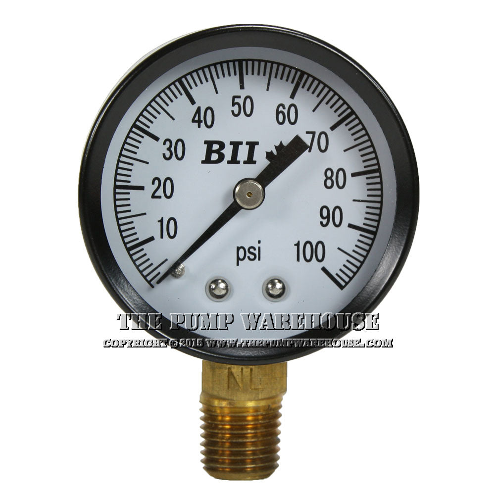 BII Well Pump Pressure Gauge | 0-100 PSI – The Pump Warehouse